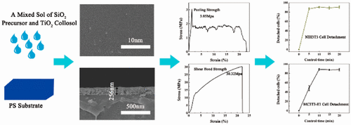 SiO2/TiO2 Nanocomposite Films on Polystyrene for Light-Induced Cell Detachment Application,ACS ...