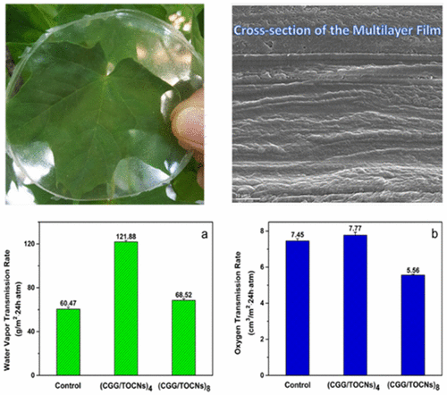 Robust Guar Gum/Cellulose Nanofibrils Multilayer Films with Good Barrier Properties,ACS Applied ...