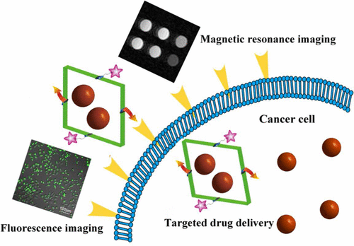 Controllable Synthesis of a Smart Multifunctional Nanoscale Metal ...