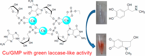 Multicopper Laccase Mimicking Nanozymes with Nucleotides as Ligands,ACS ...