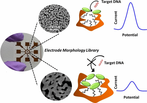 Nanoporous-Gold-Based Electrode Morphology Libraries for Investigating ...