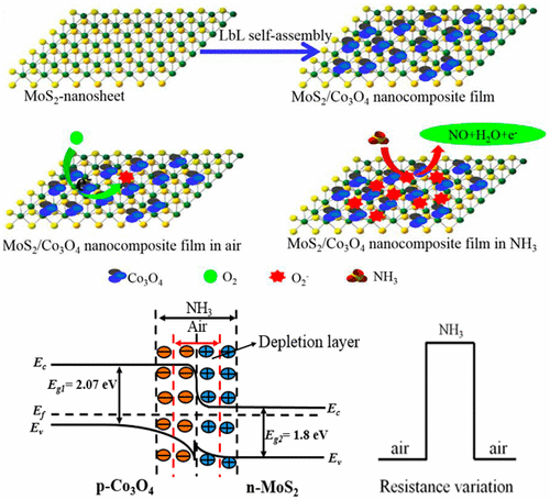 Layer-by-Layer Self-assembly of Co3O4 Nanorod-Decorated MoS2 Nanosheet-Based Nanocomposite ...