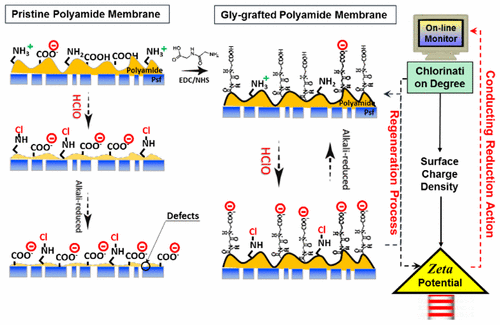 Chlorine-Resistant Polyamide Reverse Osmosis Membrane with Monitorable ...
