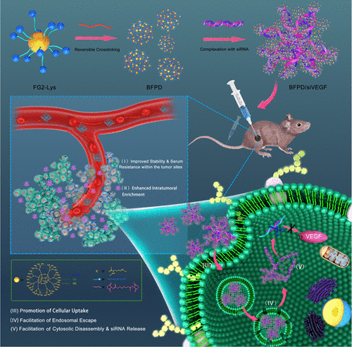 Highly Efficient and Safe Delivery of VEGF siRNA by Bioreducible ...