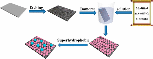 具有耐腐蚀和耐磨损性能的AZ31镁合金上 [电子邮件保护] 2 微米/纳米层级超疏水表面的制备,ACS Applied Materials ...