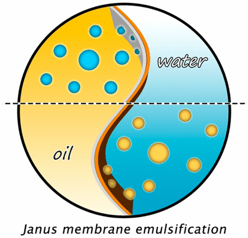 Janus Membranes with Opposing Surface Wettability Enabling Oil-to-Water and Water-to-Oil ...