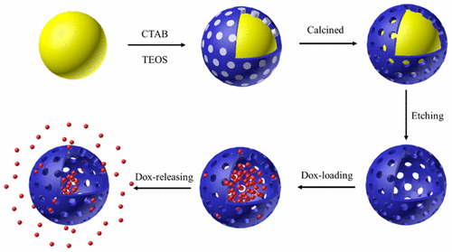 Hollow Mesoporous Silica Nanoparticles with Tunable Structures for ...
