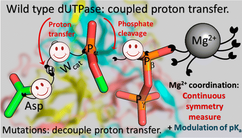 突变使dUTPase催化反应中的质子传递与磷酸盐裂解脱钩,ACS Catalysis - X-MOL