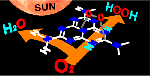 Effects of Surface Defects on Photocatalytic H2O2 Production by ...