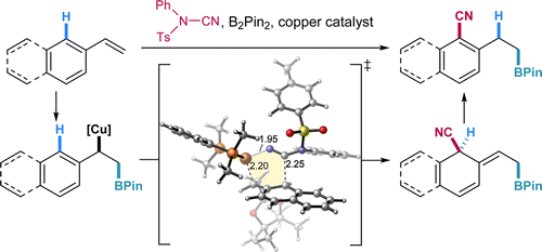 Mechanism and Origins of Selectivities in the Copper-Catalyzed Dearomatization-Induced ortho C–H ...
