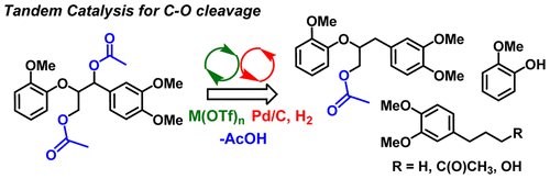 通过串联催化的乙酰化木质素模型的选择性醚/酯C-O裂解,ACS Catalysis - X-MOL