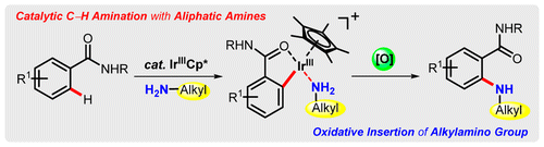 Iridium-Catalyzed Direct C–H Amination with Alkylamines: Facile ...