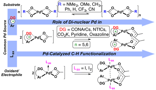 Factors Controlling Stability and Reactivity of Dimeric Pd(II) Complexes in C–H ...