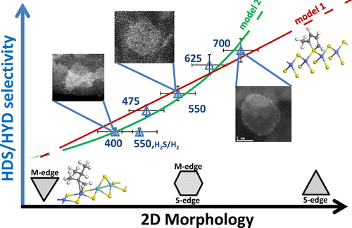 Quantitative Two-Dimensional (2D) Morphology–Selectivity Relationship ...