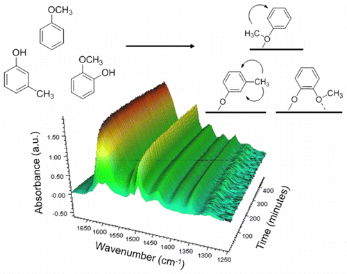 Steric Effect and Evolution of Surface Species in the ...