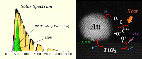 Understanding Plasmon and Band Gap Photoexcitation Effects on the ...