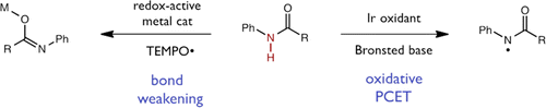 Catalytic C–N Bond-Forming Reactions Enabled by Proton-Coupled Electron ...