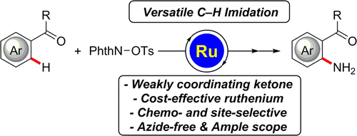 酮助钌（II）催化的C–H酰胺化：通过弱配位获得伯氨基酮,ACS Catalysis - X-MOL