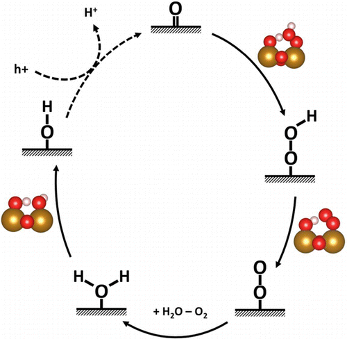 Surface Proton Hopping and Fast-Kinetics Pathway of Water Oxidation on ...