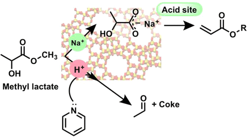 乳酸甲酯催化脱水中的选择性控制：吡啶的影响,ACS Catalysis - X-MOL