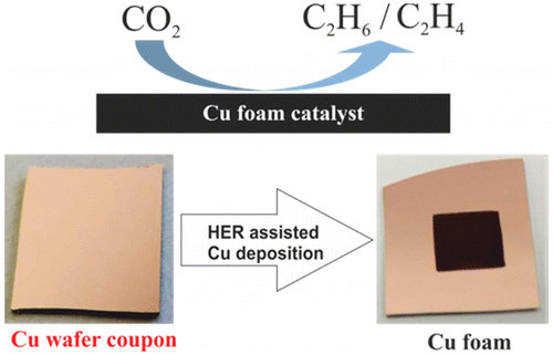 Morphology Matters: Tuning the Product Distribution of CO2 ...