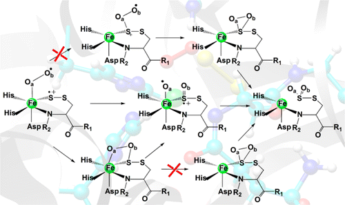 乙基丙二酸脑病蛋白1催化谷胱甘肽过硫化物氧化的机理,ACS Catalysis - X-MOL