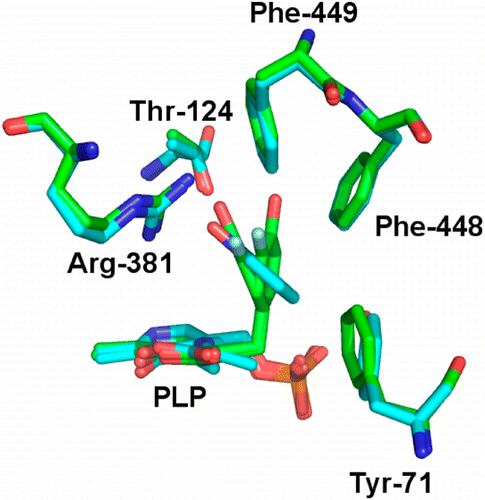 Phe-448和Phe-449的基态不稳定有助于酪氨酸苯酚酶的催化,ACS Catalysis - X-MOL