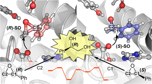 水溶性环氧水解酶中对映体的量子化学建模,ACS Catalysis - X-MOL