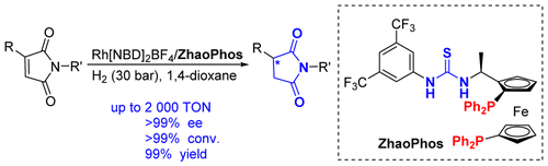 Highly Enantioselective Synthesis of Chiral Succinimides via Rh ...