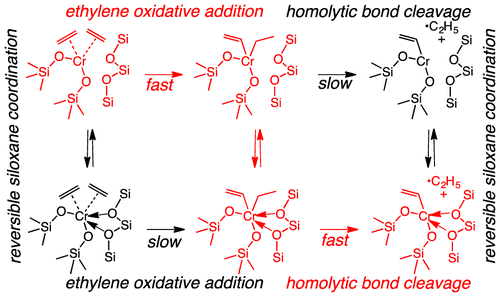 One-Electron-Redox Activation of the Reduced Phillips Polymerization ...