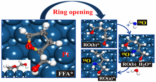 The Critical Role of Water in the Ring Opening of Furfural Alcohol to 1 ...