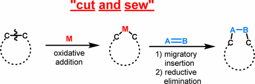 “Cut and Sew” Transformations via Transition-Metal-Catalyzed Carbon ...