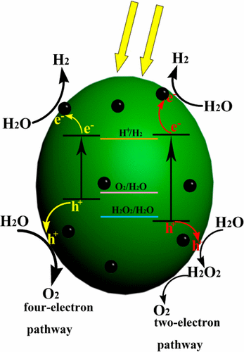 Control Strategy on Two-/Four-Electron Pathway of Water Splitting by ...