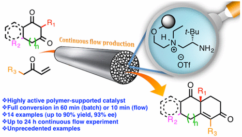 A Highly Active Polymer-Supported Catalyst for Asymmetric Robinson ...
