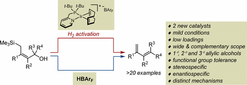 Exploring Site Selectivity of Iridium Hydride Insertion into Allylic ...