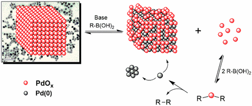 Mechanism of a Suzuki-Type Homocoupling Reaction Catalyzed by Palladium ...