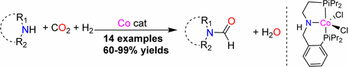 Selective N-Formylation of Amines with H2 and CO2 Catalyzed by Cobalt ...
