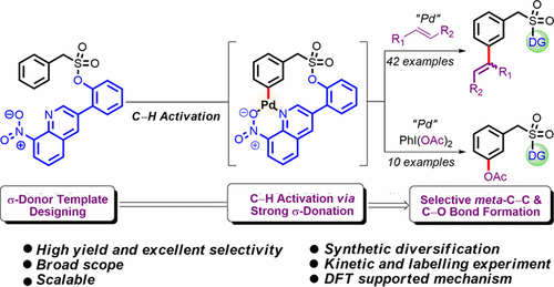 Catalytic Arene meta-C–H Functionalization Exploiting a Quinoline-Based Template,ACS Catalysis ...