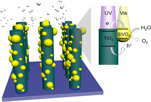 TiO2/BiVO4 Nanowire Heterostructure Photoanodes Based on Type II Band ...