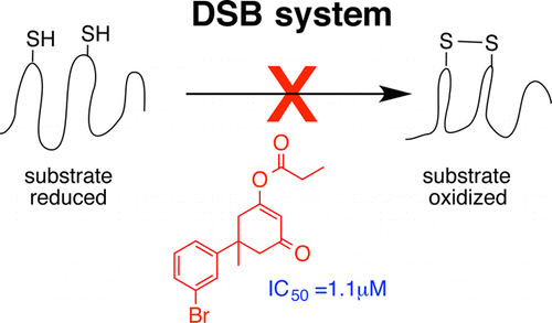 细菌DsbA–DsbB双重酶系统形成二硫键的小分子抑制剂,ACS Chemical Biology - X-MOL