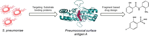 Discovery of Novel Pneumococcal Surface Antigen A (PsaA) Inhibitors ...