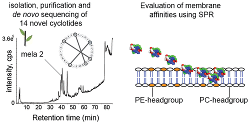 Lysine-rich Cyclotides: A New Subclass of Circular Knotted Proteins ...