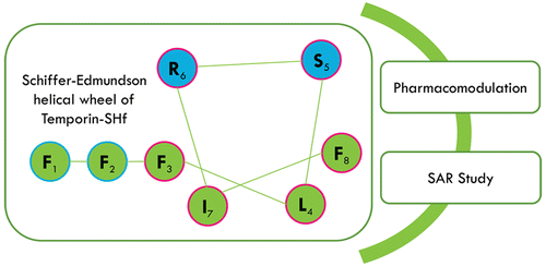 Structure–Activity Relationship-based Optimization of Small Temporin ...