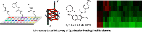 Small Molecule Microarrays Enable the Identification of a Selective ...