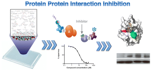 Protein–Protein Interaction Inhibition (2P2I)-Oriented Chemical Library ...