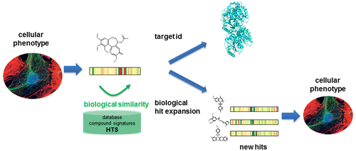 Aggregated Compound Biological Signatures Facilitate Phenotypic Drug ...