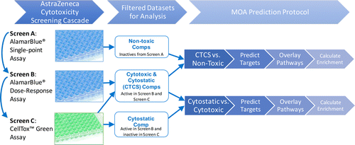 Understanding Cytotoxicity and Cytostaticity in a High-Throughput ...