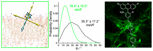 A Rationally Designed, General Strategy for Membrane Orientation of ...