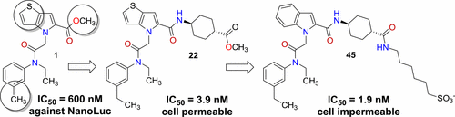 高度有效的细胞可渗透和不可渗透的NanoLuc荧光素酶抑制剂,ACS Chemical Biology - X-MOL