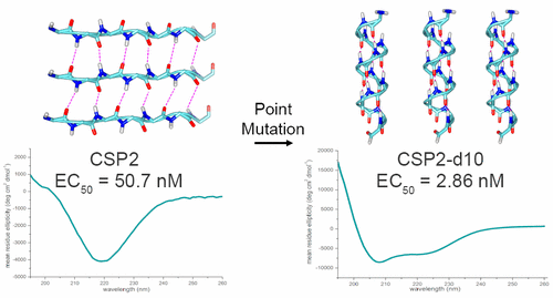 Structure–Activity Relationships of the Competence Stimulating Peptides ...